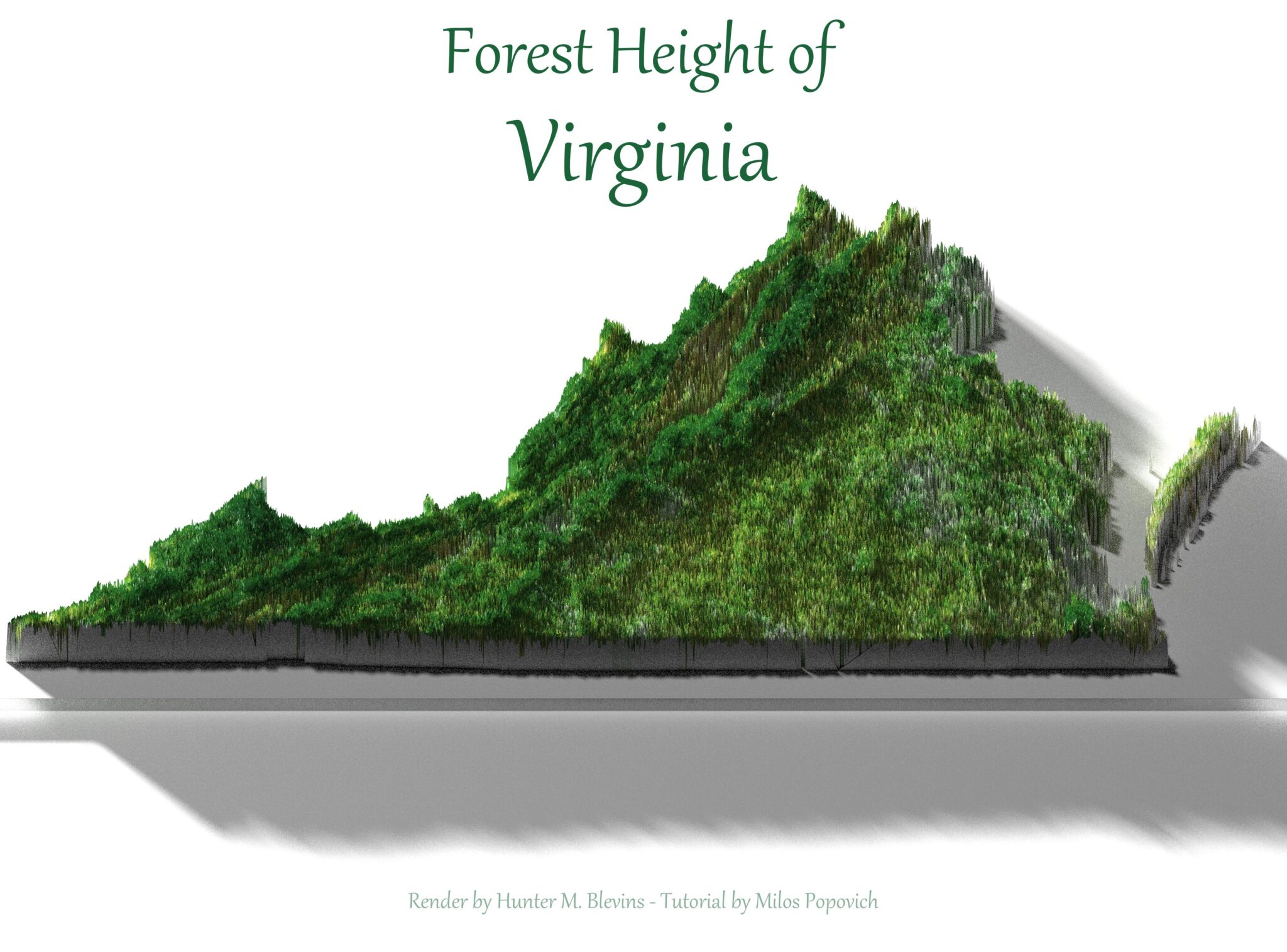 Virginia Forest Heights - Hunter Blevins